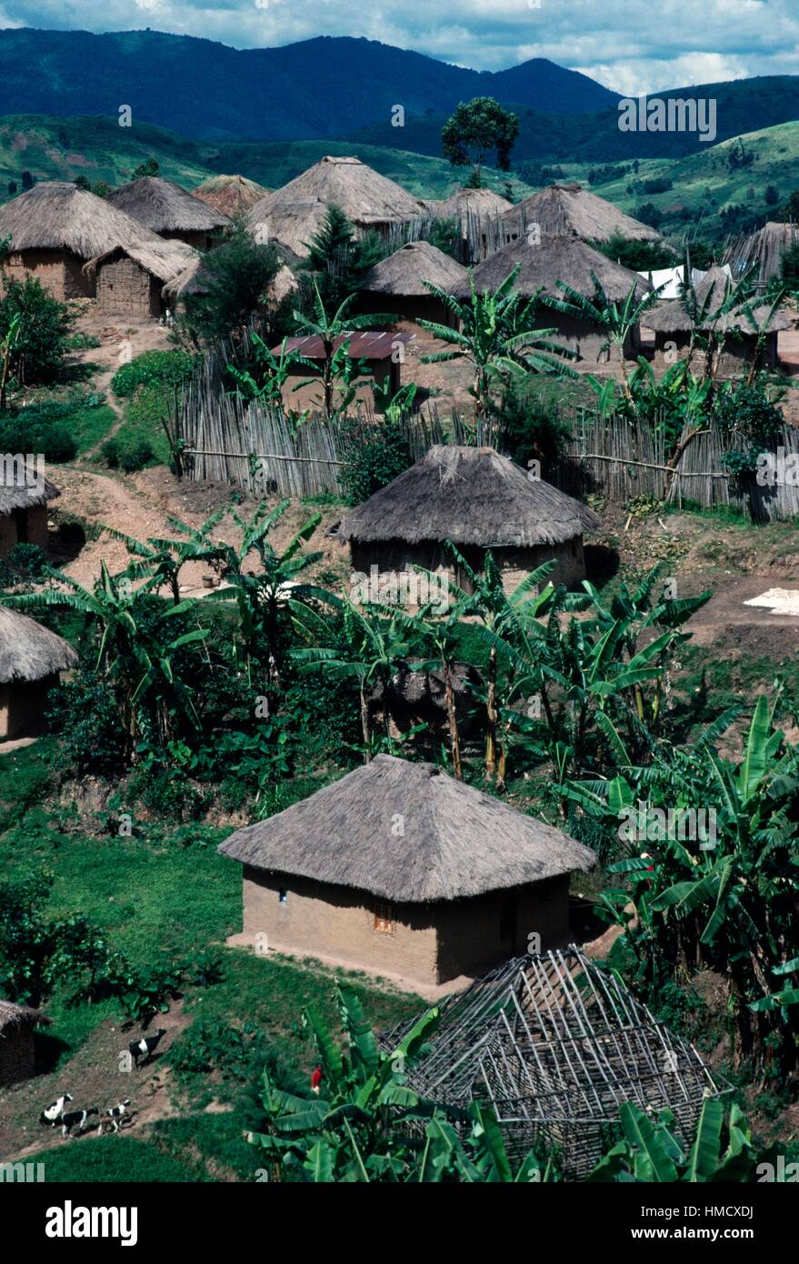 Traditional houses in a village in the Nord Kivu mountains, Democratic ...