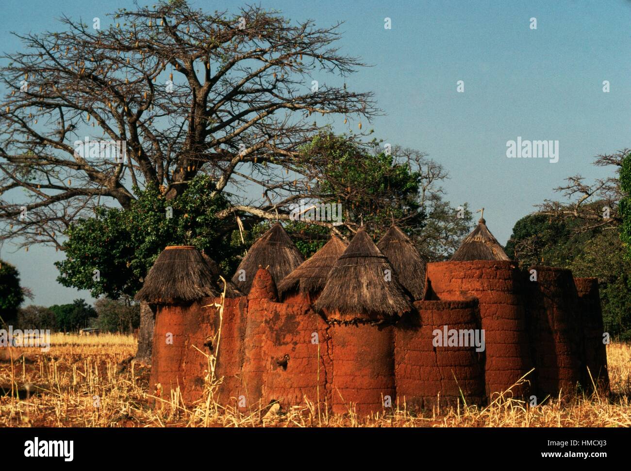 Tata Somba, typical fortified house, near Natitingou, Benin Stock Photo ...