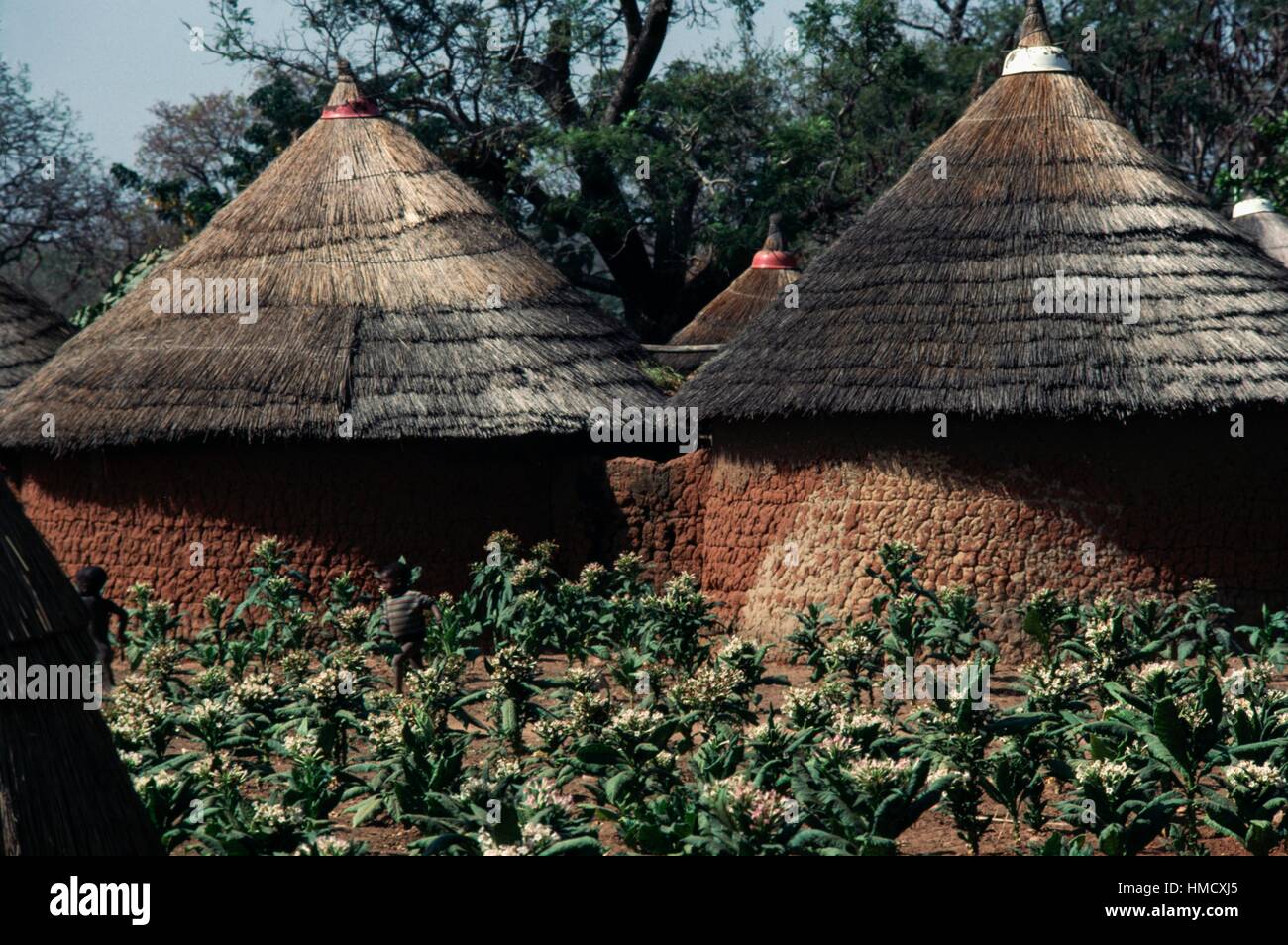 Soukala, traditional house in a Kabre village, Benin Stock Photo - Alamy