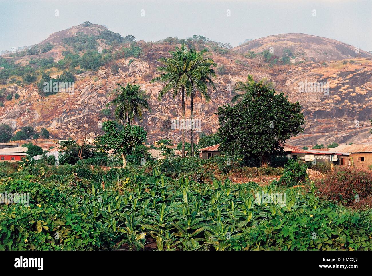 Hilly landscape with vegetation around Save, Benin Stock Photo - Alamy