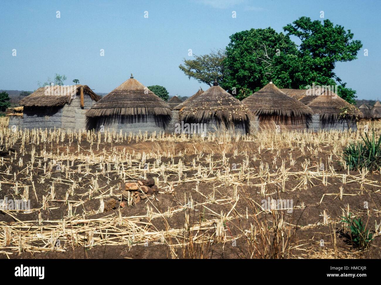 Benin village thatched hi-res stock photography and images - Alamy