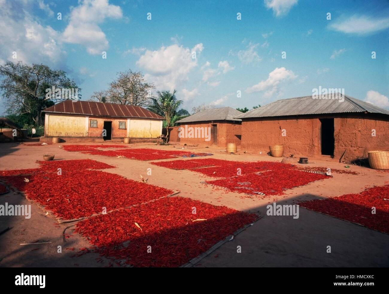 Drying chilli peppers in a village hi-res stock photography and images ...