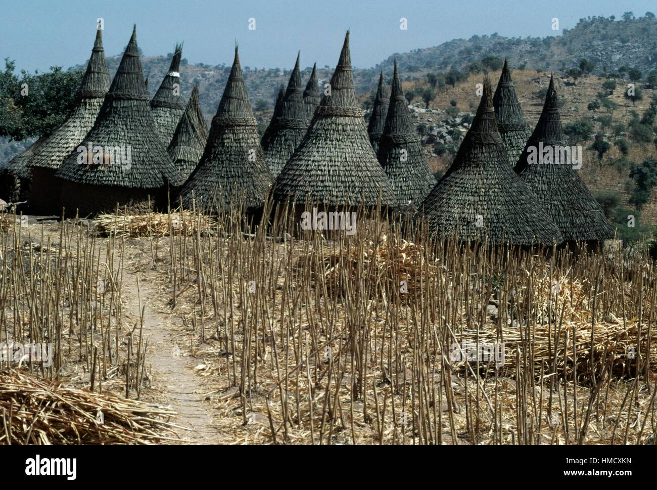 Huts with pointed thatched roofs, village of Matakan, near Mokolo ...