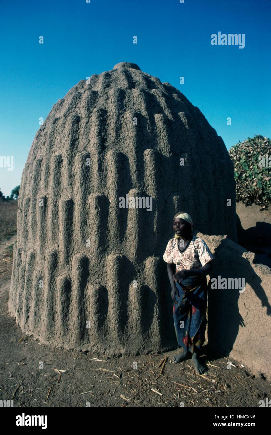 Beehive shape hi-res stock photography and images - Alamy