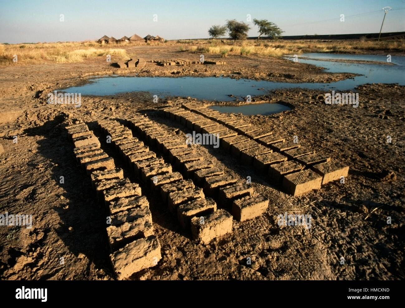 Swamp in the pouss area hi-res stock photography and images - Alamy