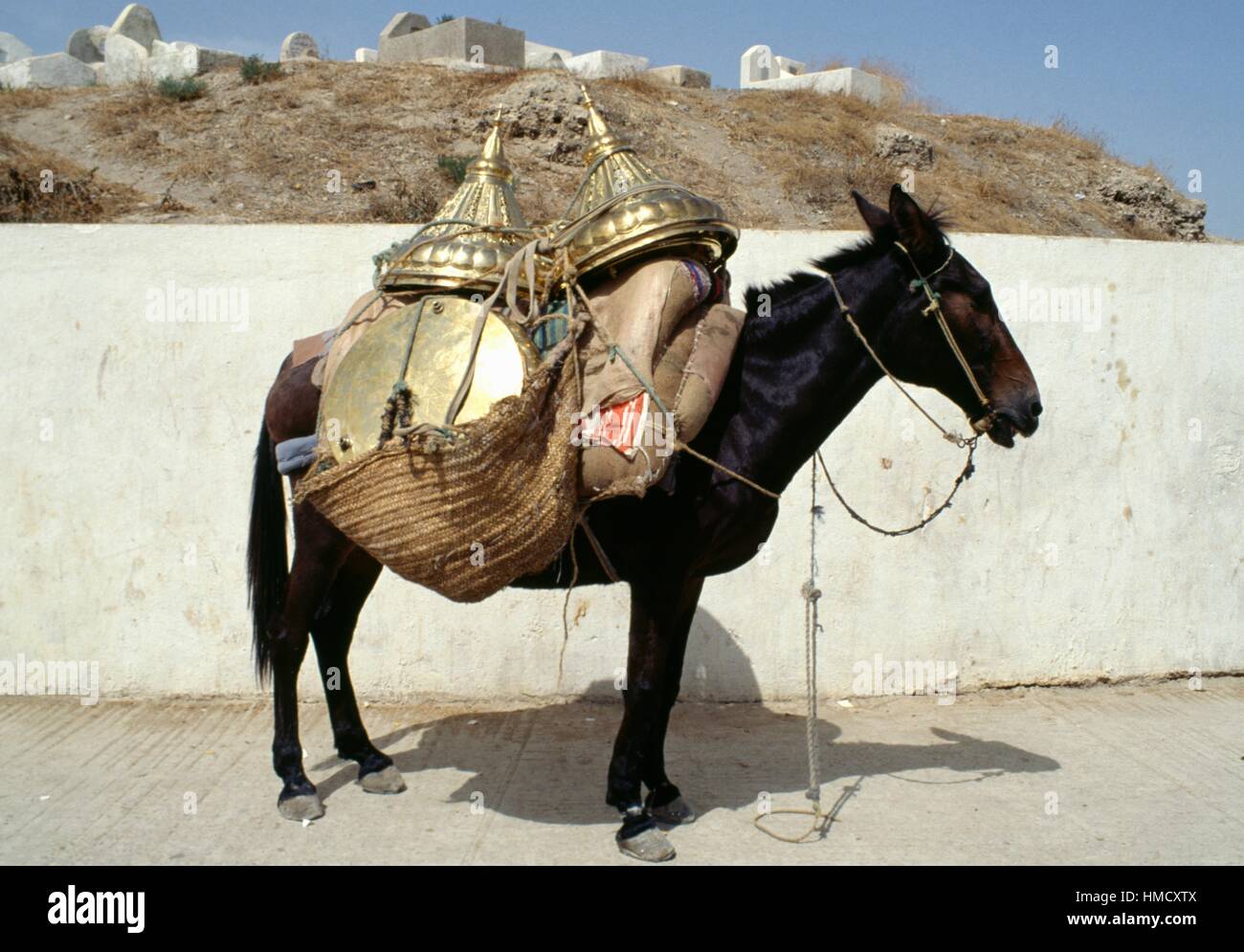 Loaded mule hi-res stock photography and images - Alamy