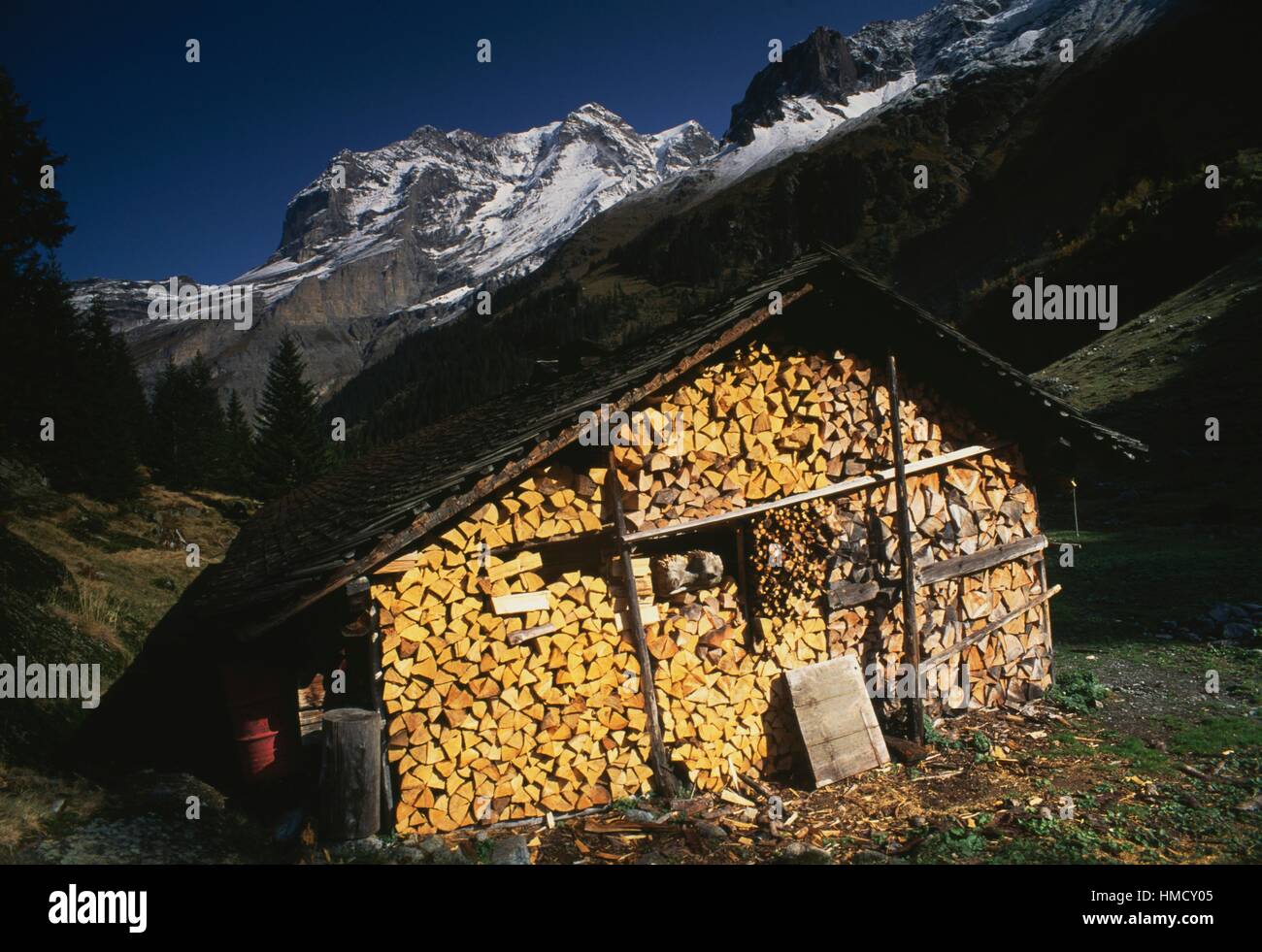 Woodpile in the autumn with snow-covered peak in the background ...