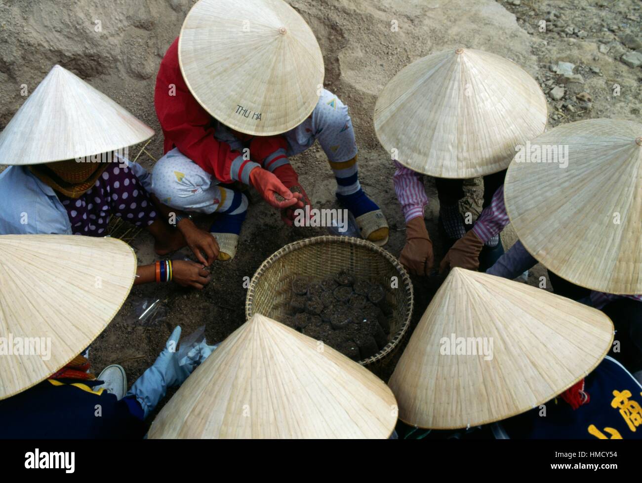 Farmers typical straw cone hats hi-res stock photography and images - Alamy