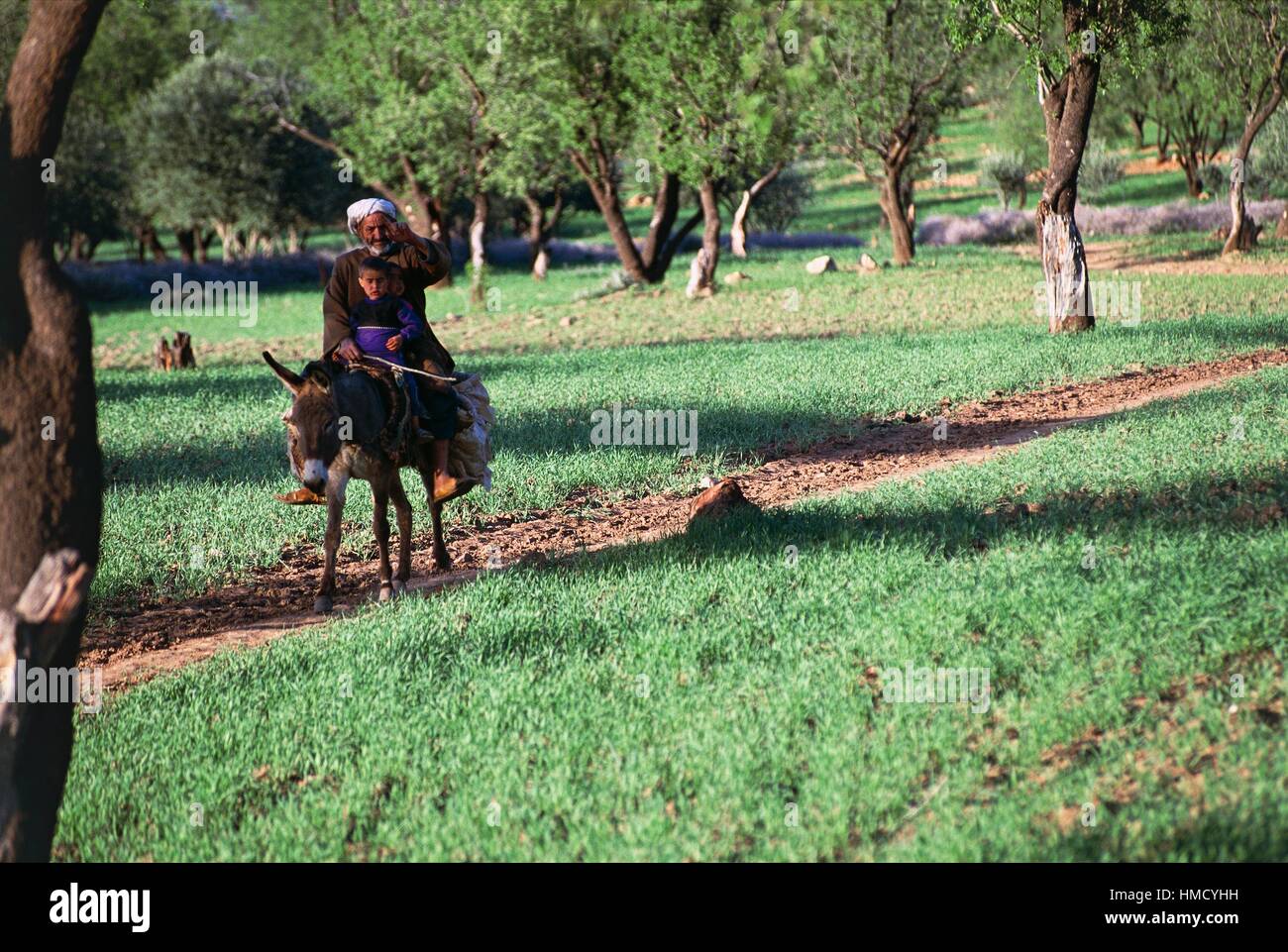 Old man and child riding on a mule in the wooded landscape near Tanant ...