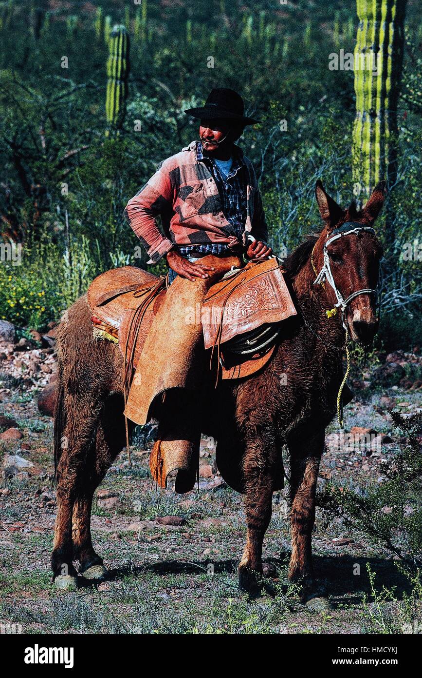 A rancher on horseback wearing traditional clothes in the Vizcaino ...
