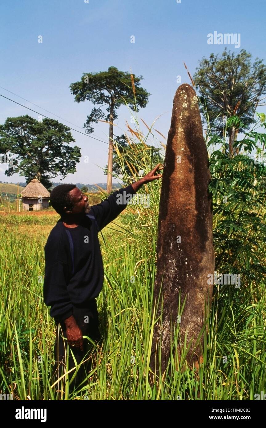 A man pointing at a sacred stone of the Bamileke people, Bangwa ...