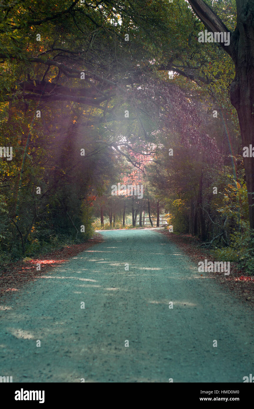 Secret Path with copy space Stock Photo - Alamy
