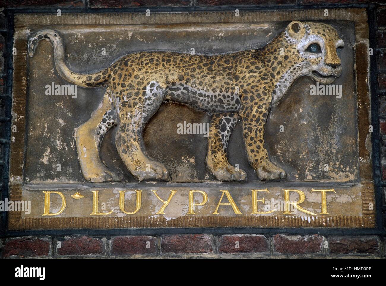 Sign depicting a spotted feline, Amsterdam, Netherlands Stock Photo - Alamy