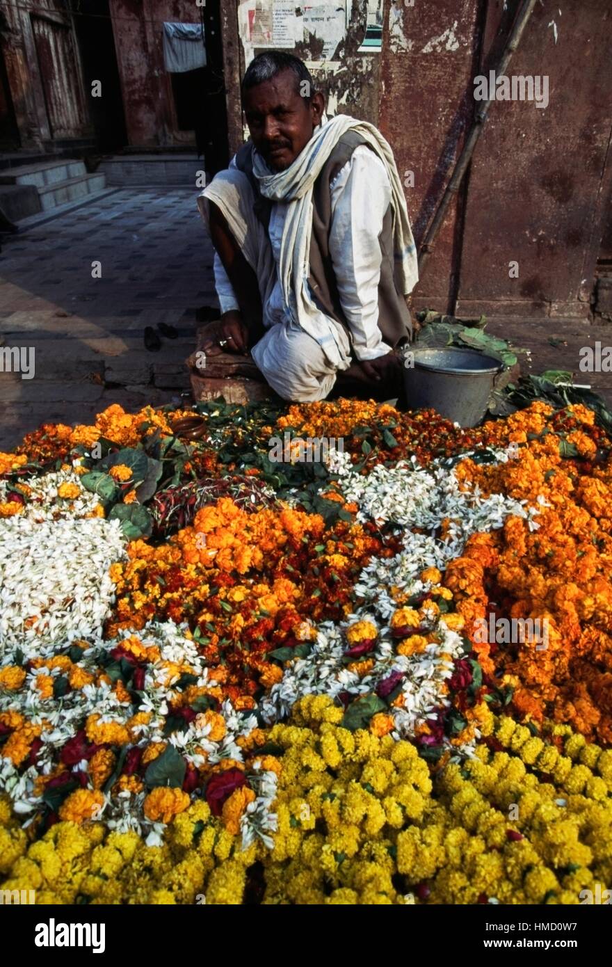 Flower seller, Varanasi, Uttar Pradesh, India Stock Photo - Alamy