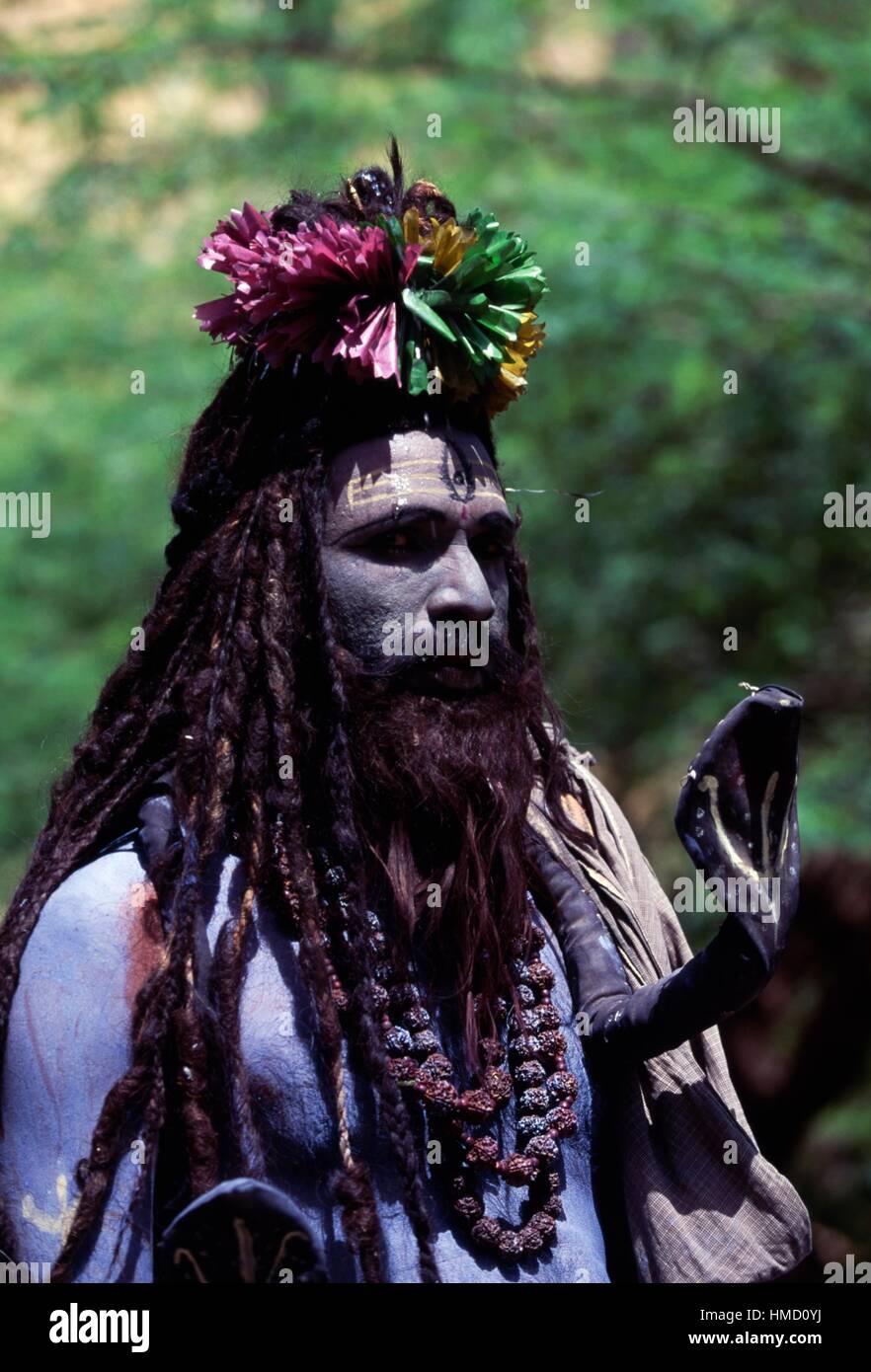 Sadhu, Hindu ascetic, with jata, typical hairstyle, Udaipur, Rajasthan ...