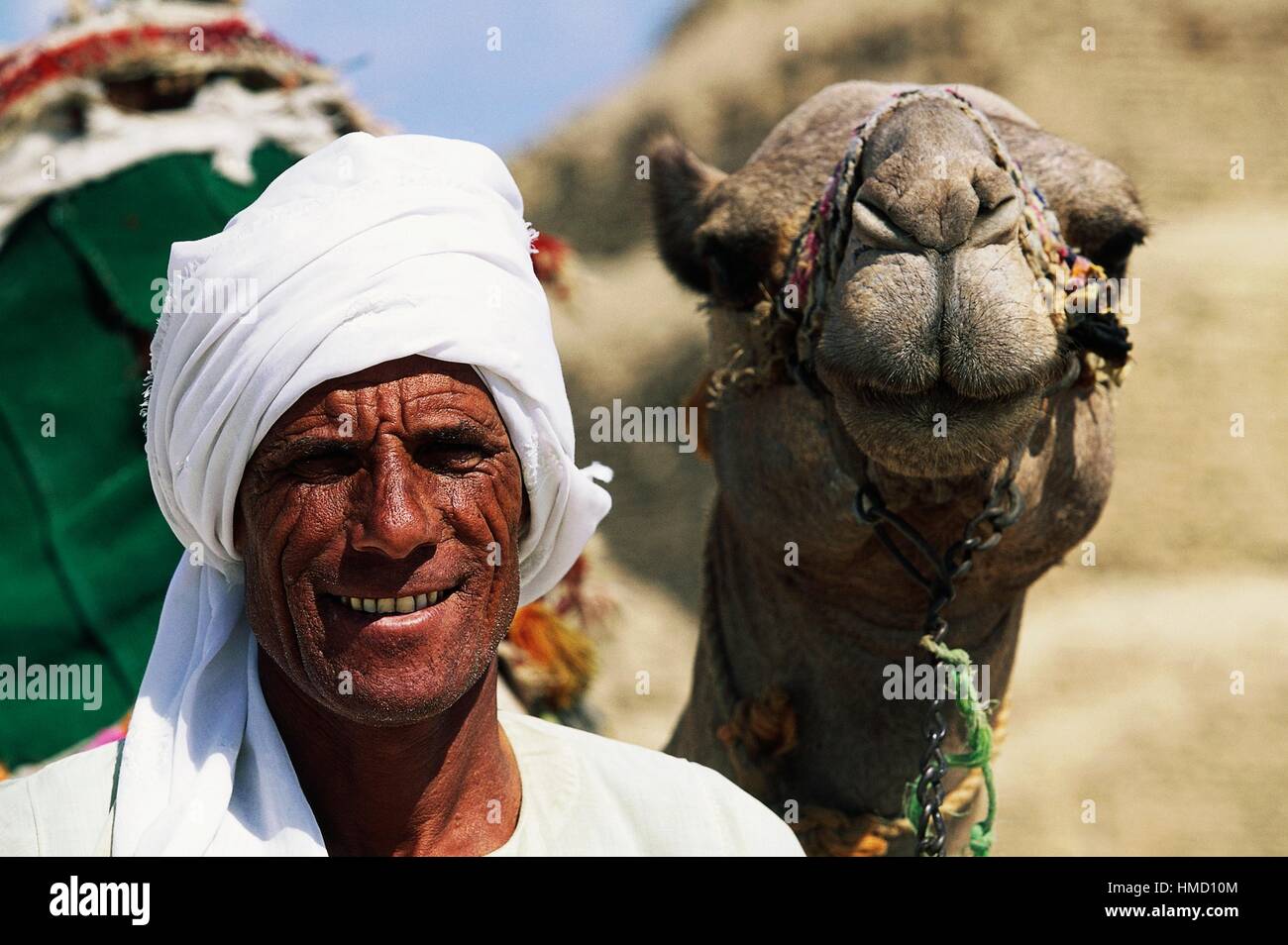A man with a camel, Cairo, Egypt Stock Photo - Alamy
