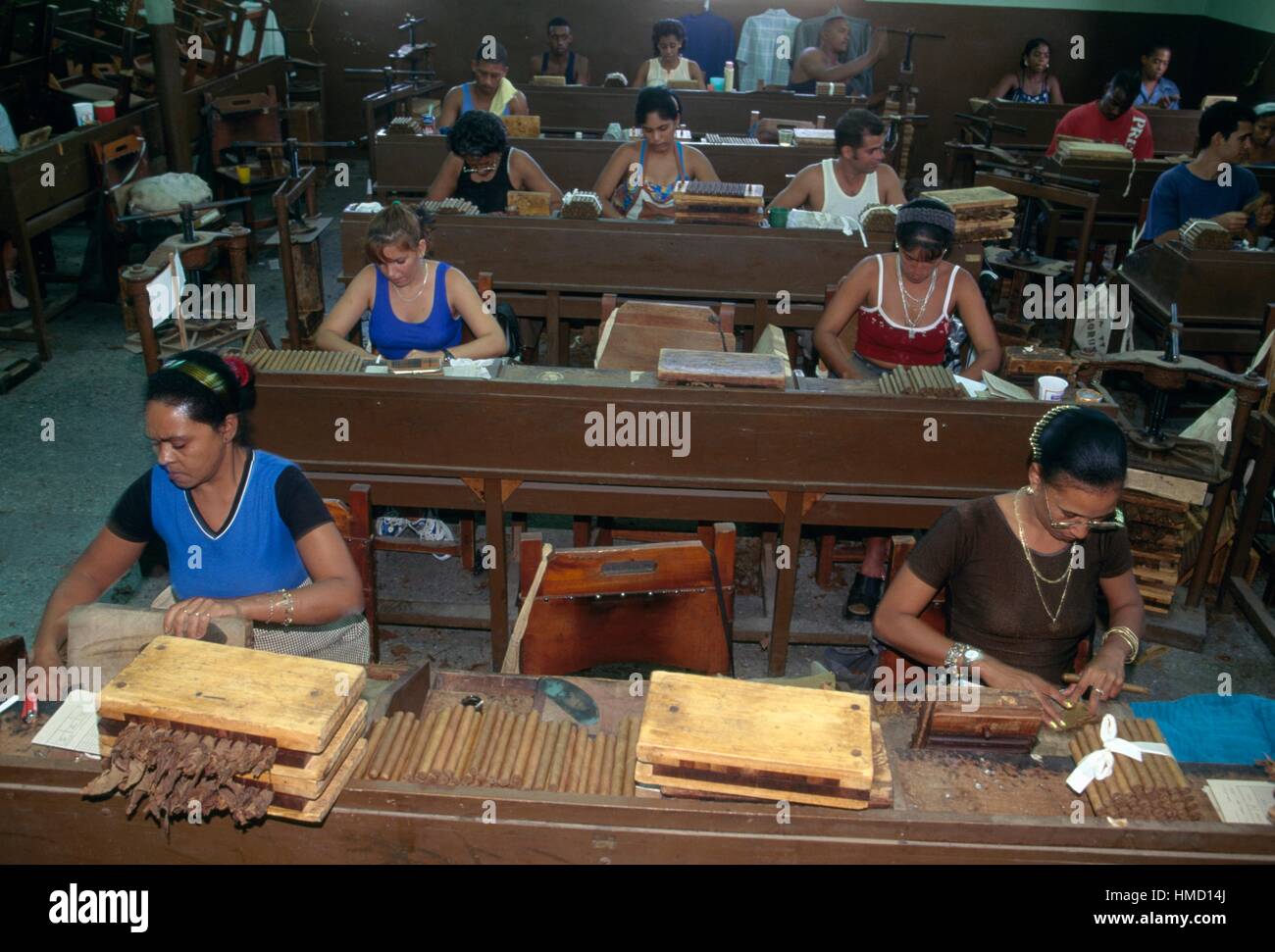 Cigar rolling, Partagas cigar factory, Cuba Stock Photo - Alamy
