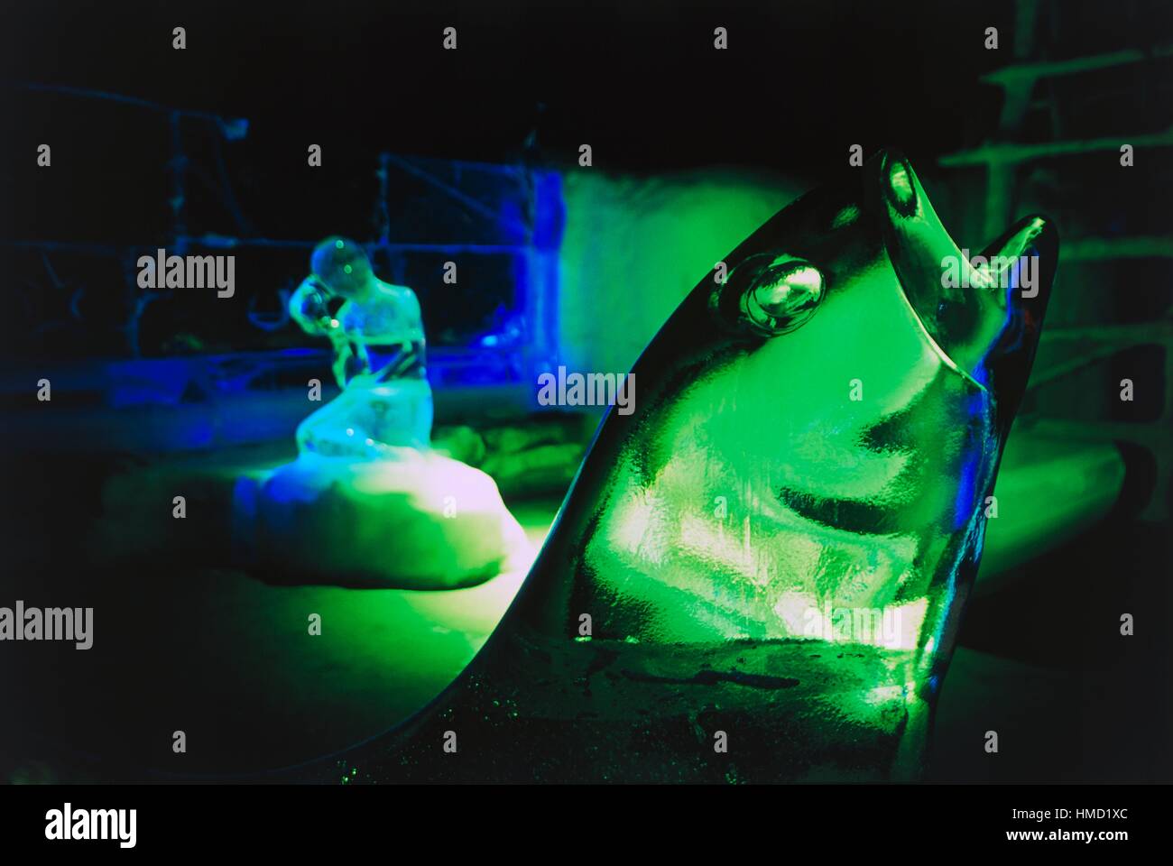 Fish, ice sculpture in the Magic Ice, bar and art gallery made out of ...