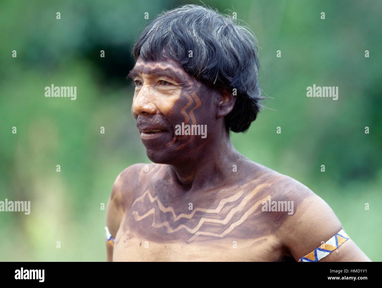 A man with his face covered in ritual decorations, Yanomami Indians ...