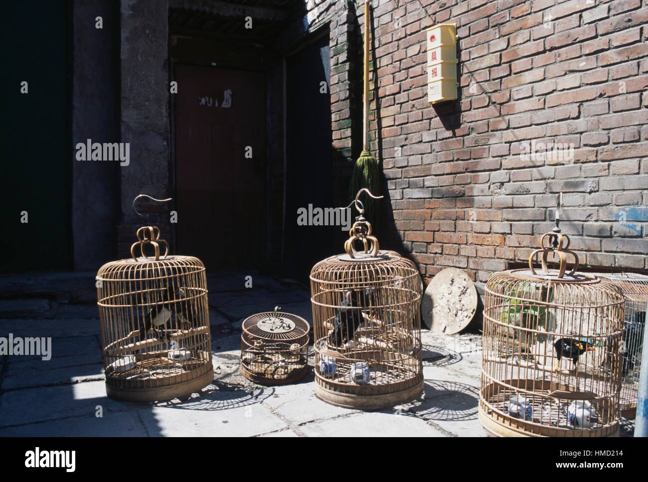 Caged birds, Beijing, China Stock Photo - Alamy