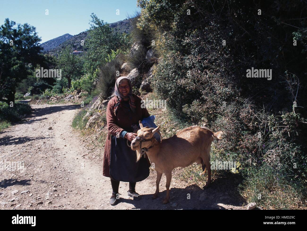 Peasant woman and goat hi-res stock photography and images - Alamy