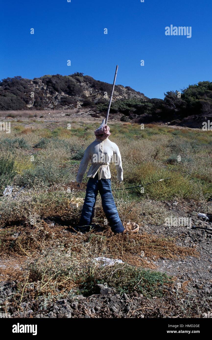 Scarecrow in a field, Rhodes, South Aegean, Greece Stock Photo - Alamy