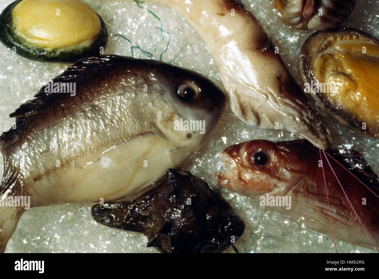Fish prepared with almond paste, Palermo, Sicily, Italy Stock Photo - Alamy