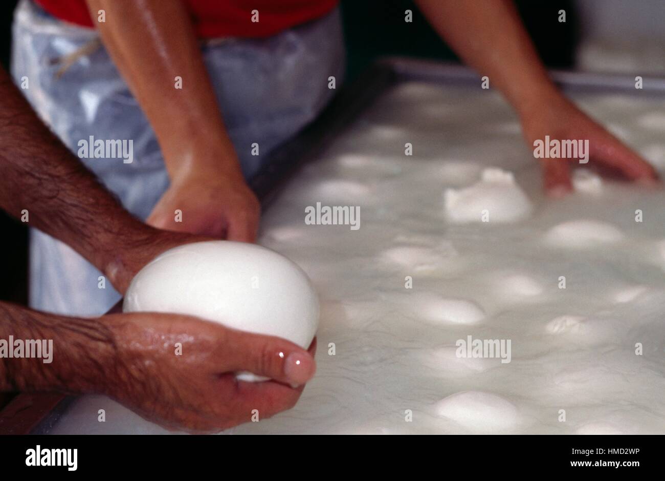 Making buffalo mozzarella hi-res stock photography and images - Alamy