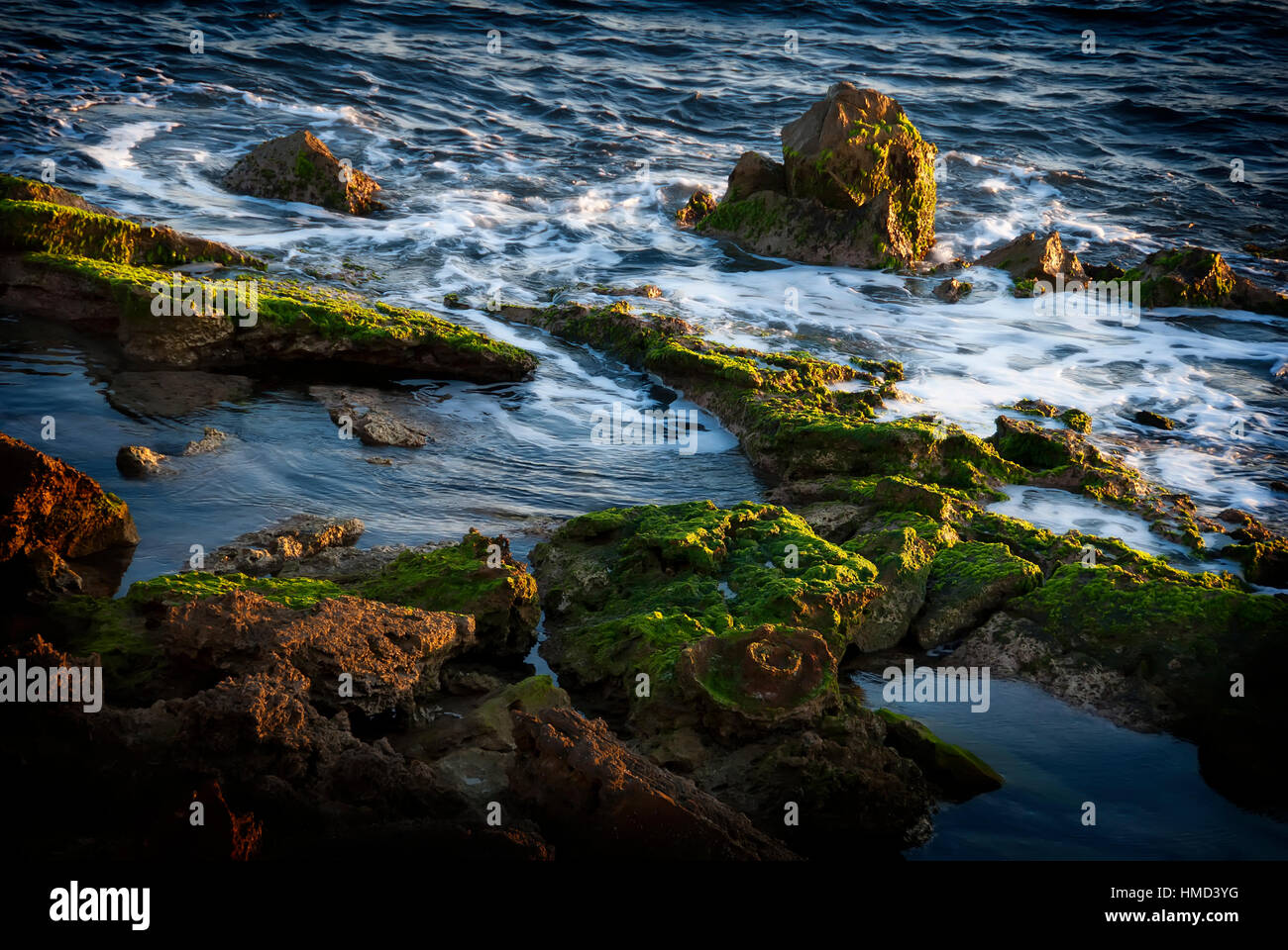 Algae covered rocks hi-res stock photography and images - Alamy