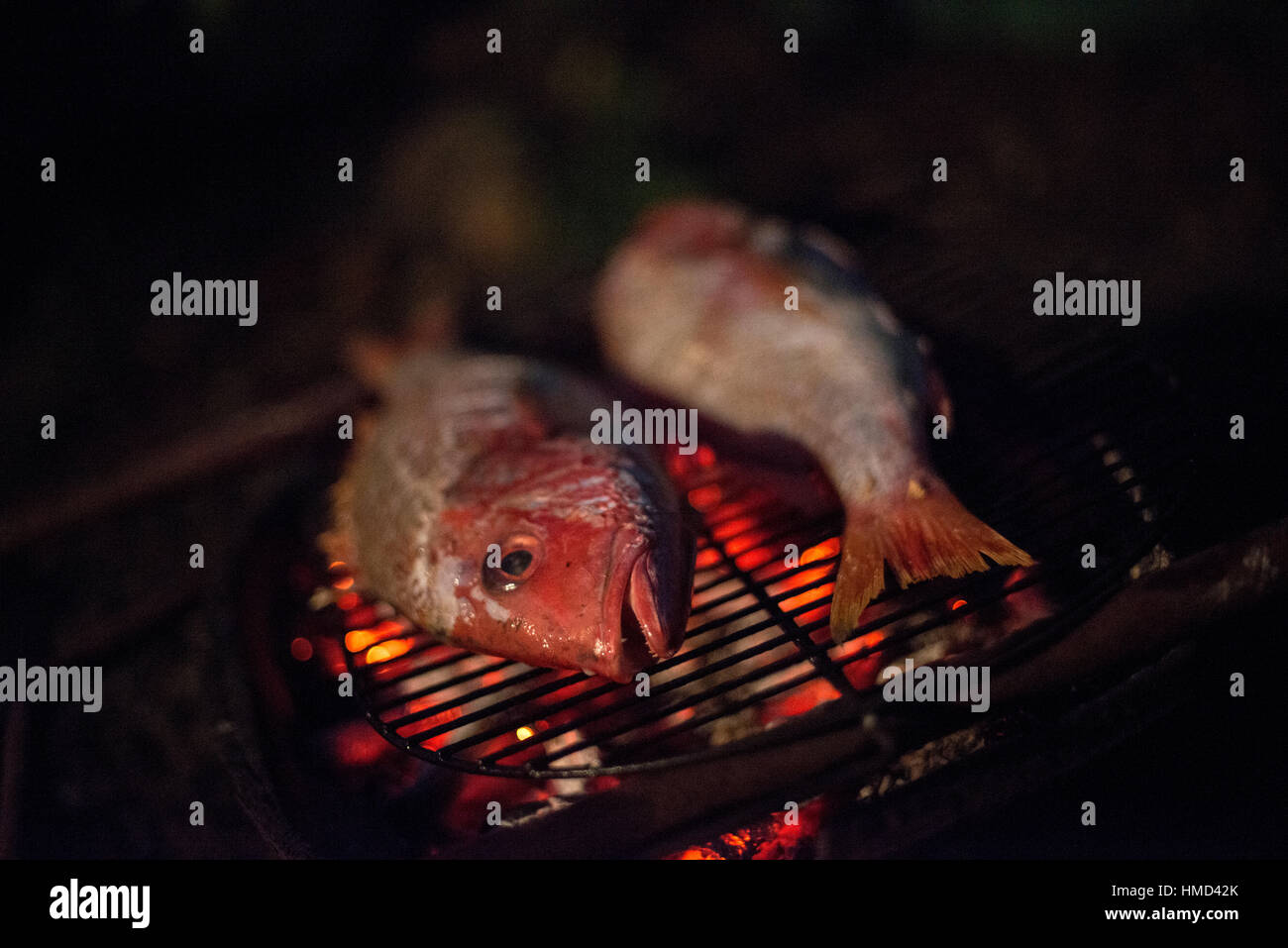 fish on grill Stock Photo - Alamy