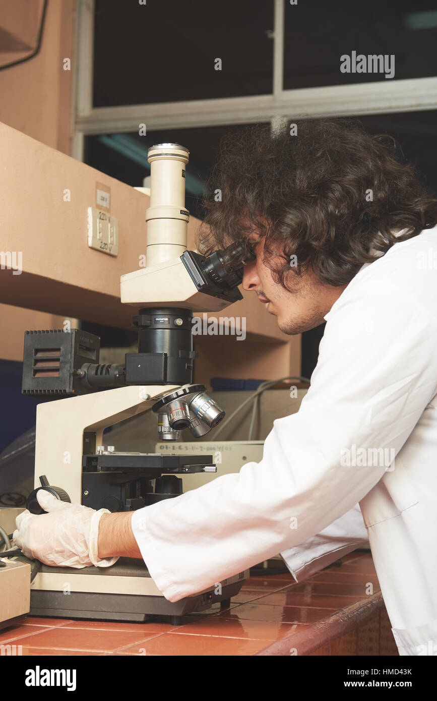 Male scientist microscope laboratory hi-res stock photography and ...