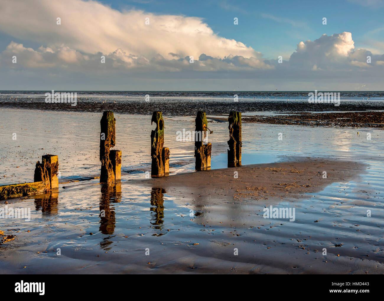 Low tide on Littlehampton Beach Stock Photo - Alamy