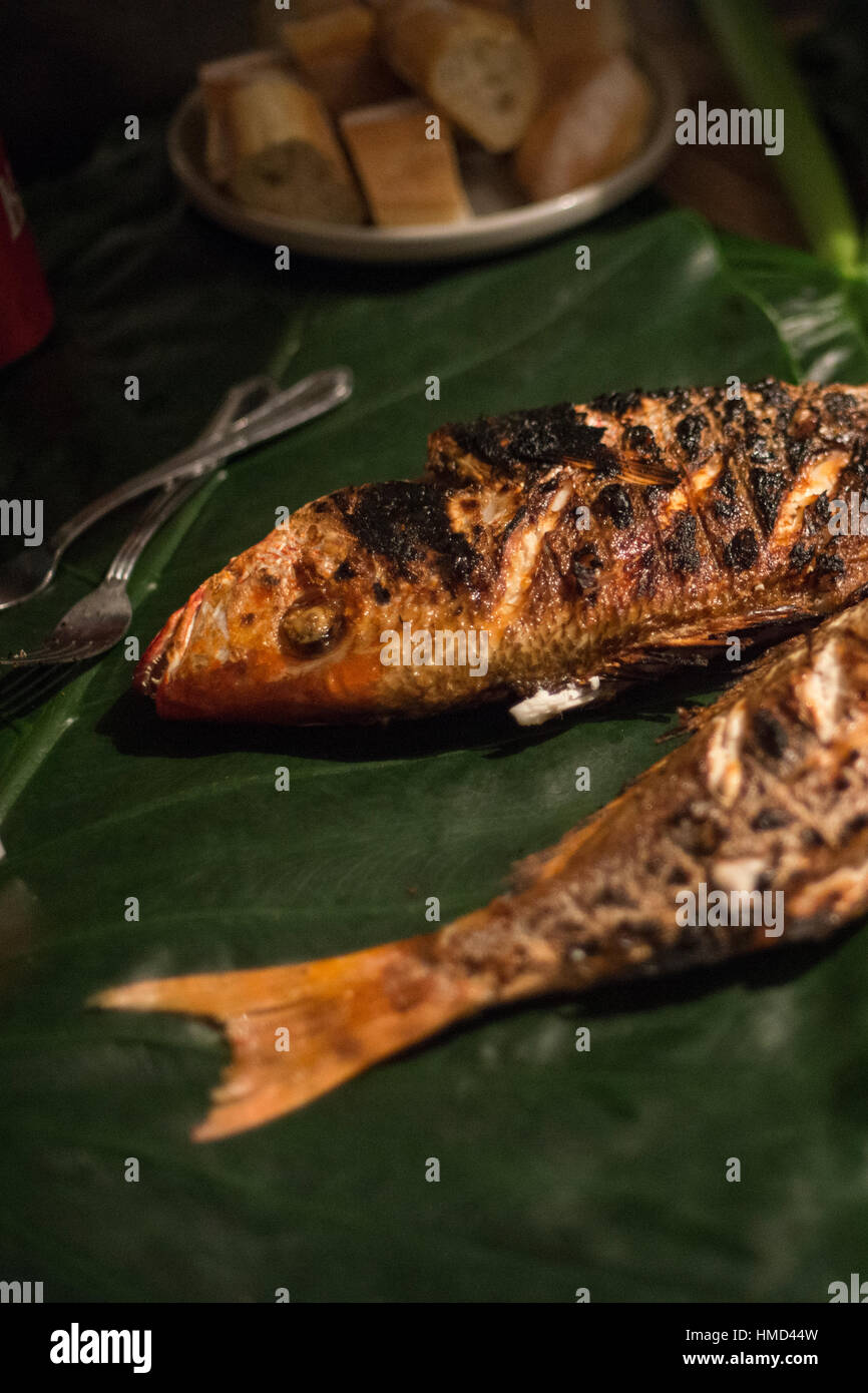 fish on leaf Stock Photo - Alamy