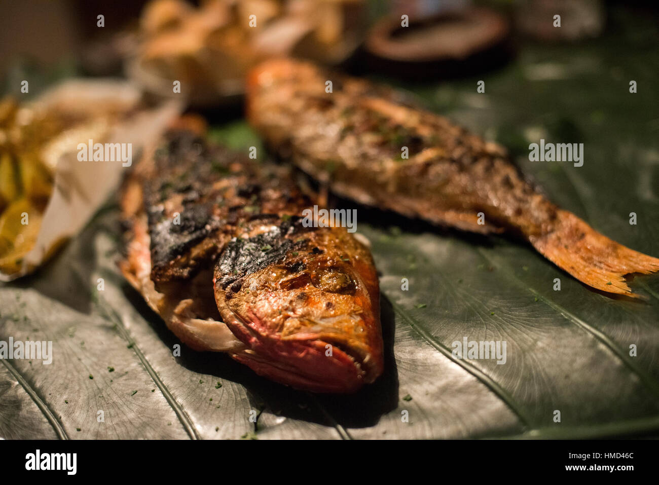 Fish leaf hi-res stock photography and images - Alamy