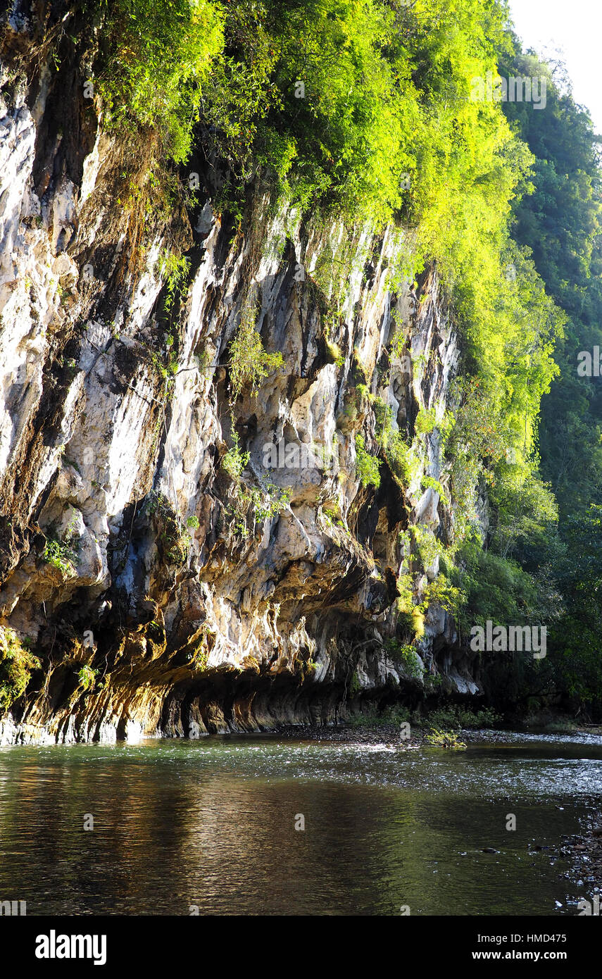 river and idyllic forest surrounds Stock Photo - Alamy