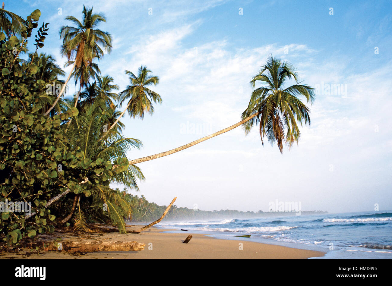 Beach and rainforest in Manzanillo Wildlife Refuge, Caribbean coast ...