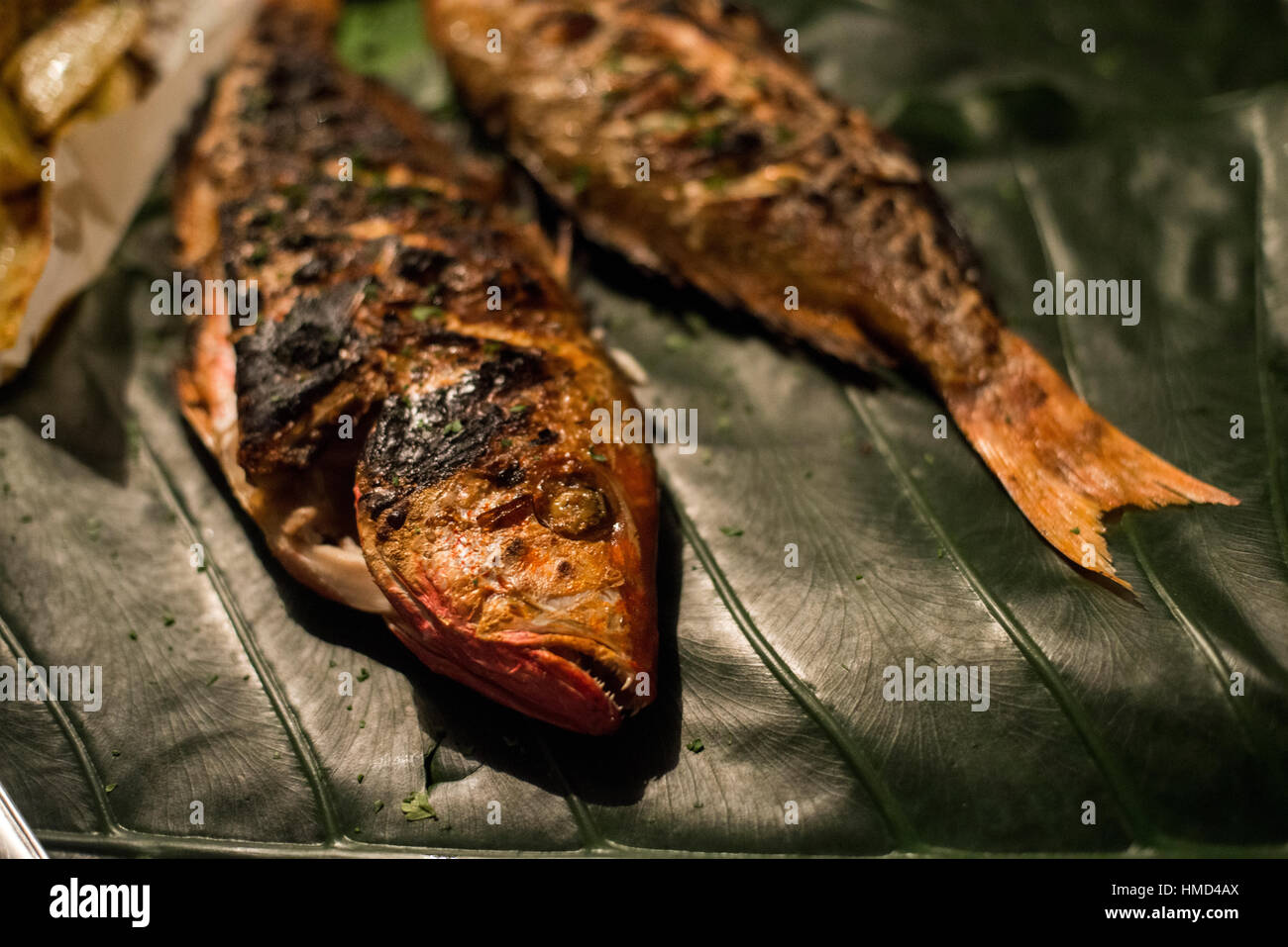 Leaf burn hi-res stock photography and images - Alamy