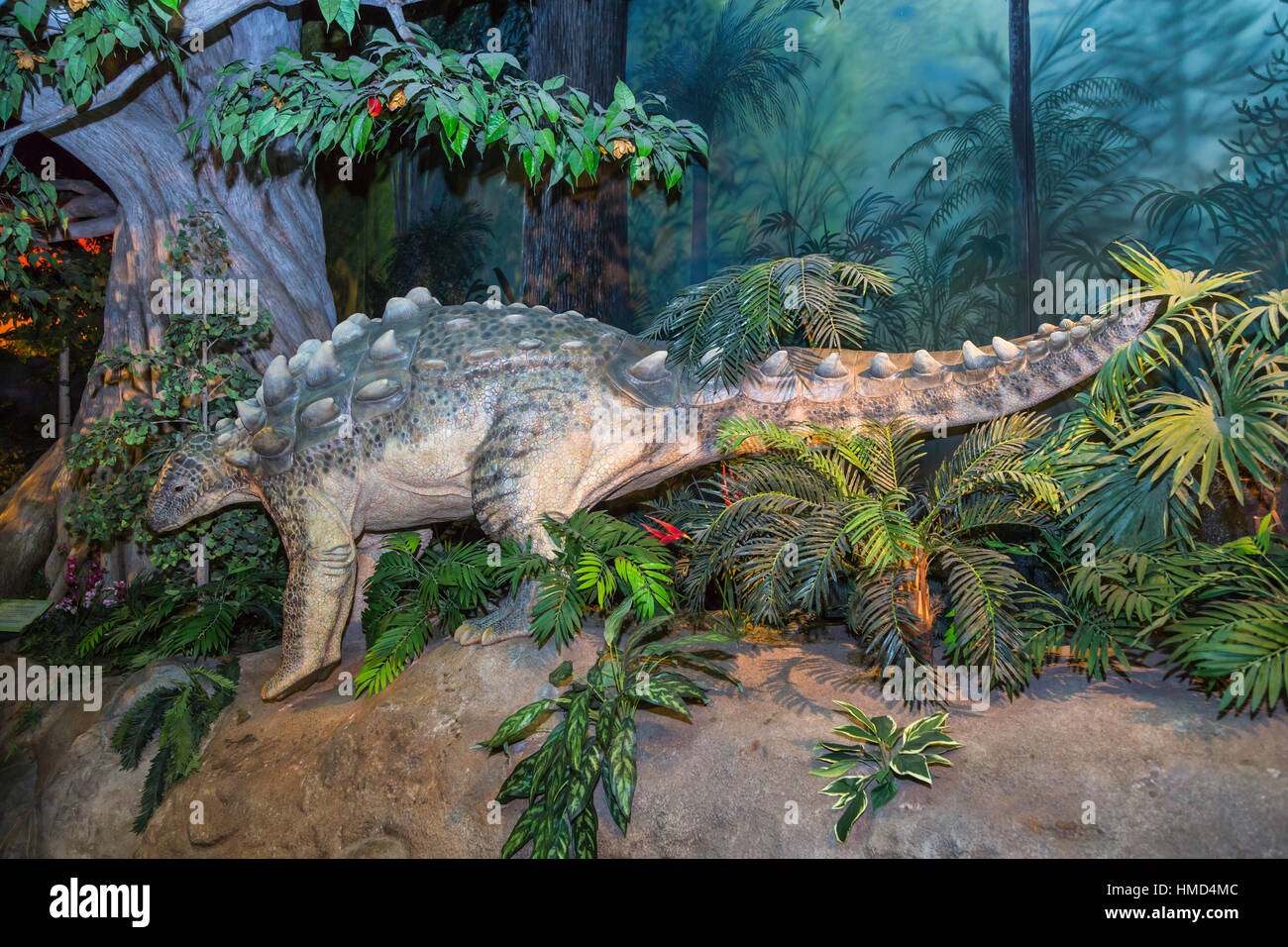 Creation Museum Pictures Of Inside