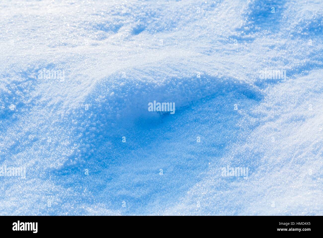 Snow background in close up. Surface of fresh winter snow in sunset ...