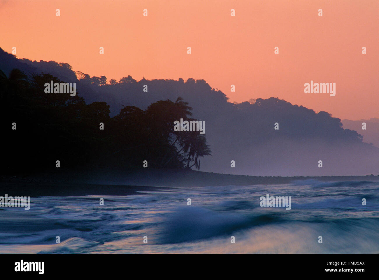 Beach and rainforest in Corcovado National Park at sunrise, Osa Peninsula, Costa Rica Stock ...
