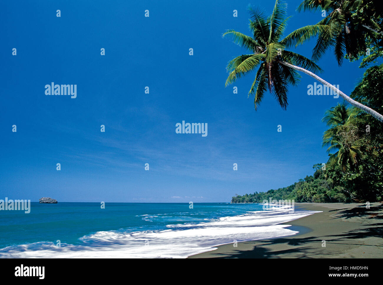 Beach and rainforest in Corcovado National Park, Osa Peninsula, Costa Rica Stock Photo - Alamy