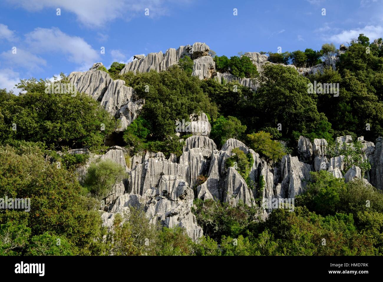 Lapiaz Stock Photos & Lapiaz Stock Images - Alamy