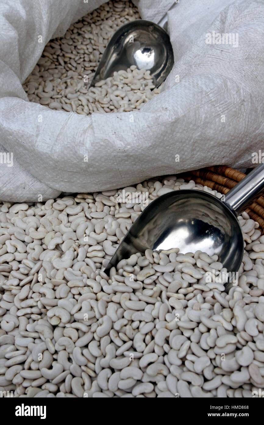 ´Ganxet´ beans, Catalonia, Spain Stock Photo - Alamy