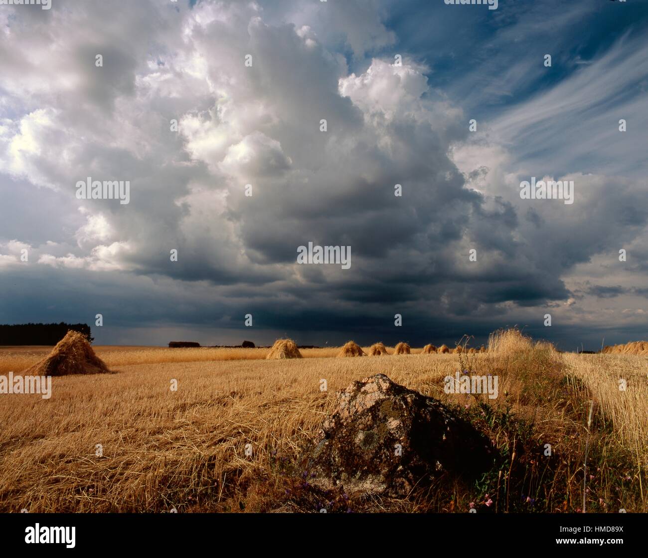 Rural landscape. Podlasie region. Poland Stock Photo - Alamy