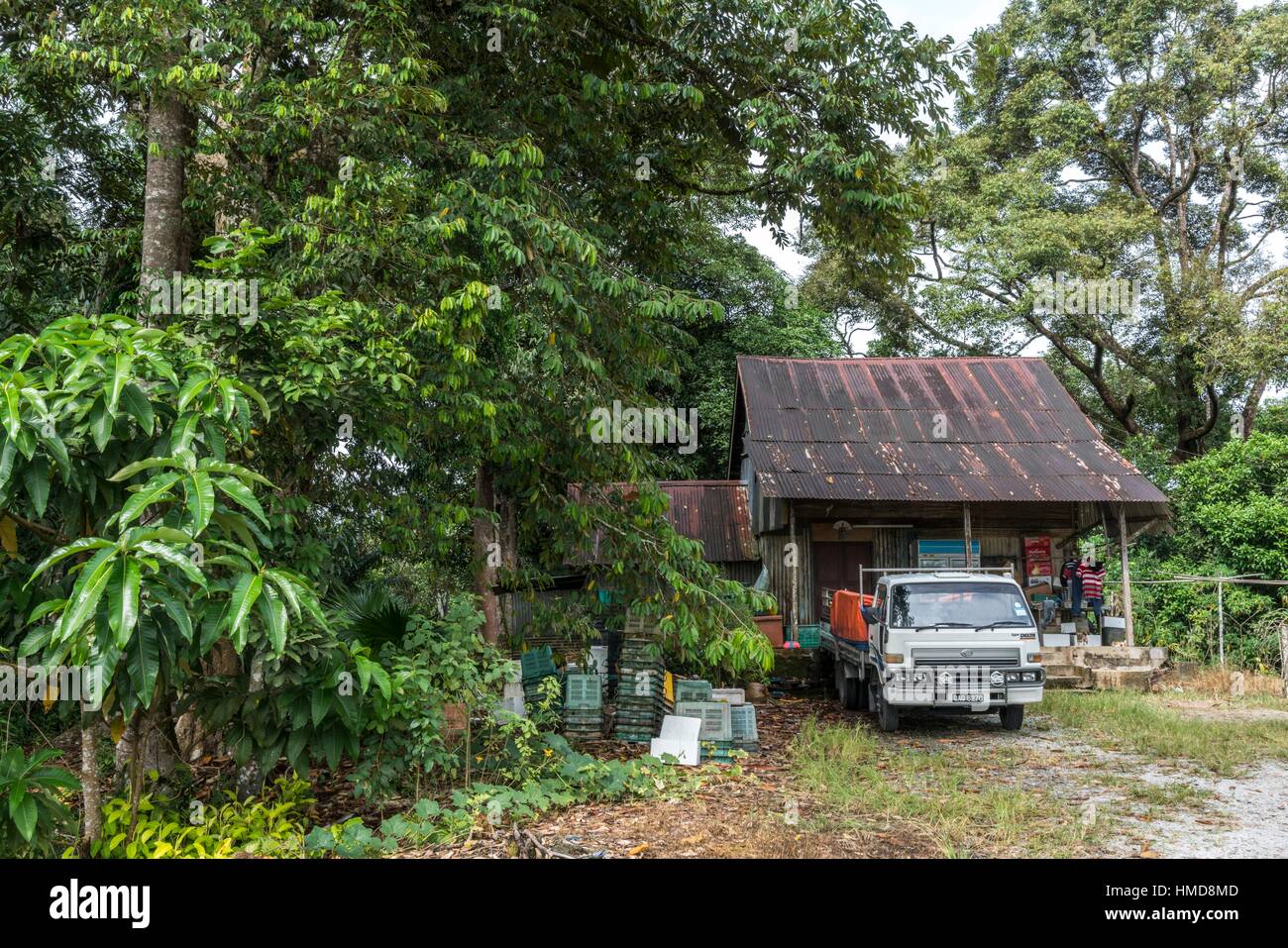 Simanggang hi-res stock photography and images - Alamy