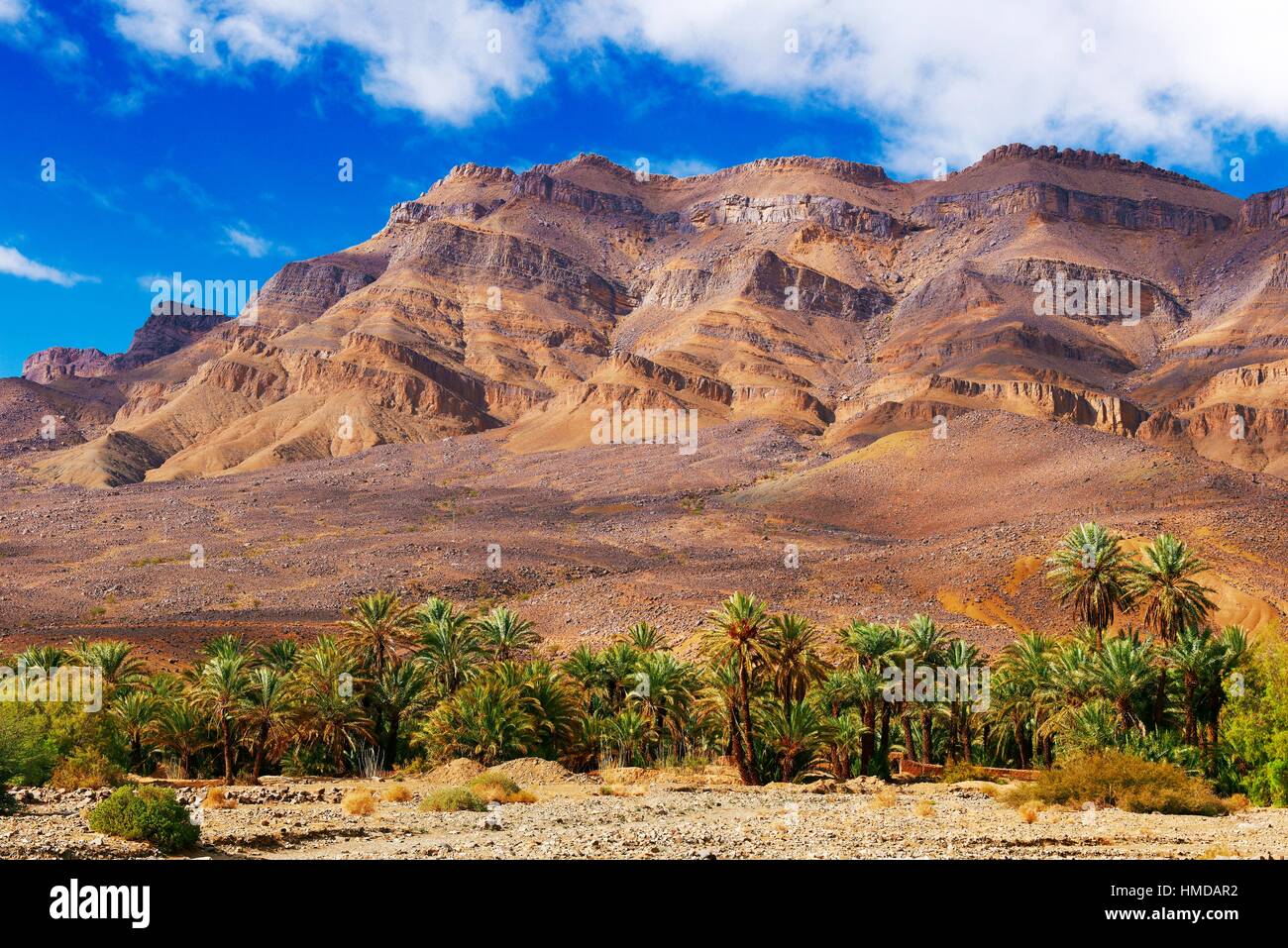 Souss river hi-res stock photography and images - Alamy