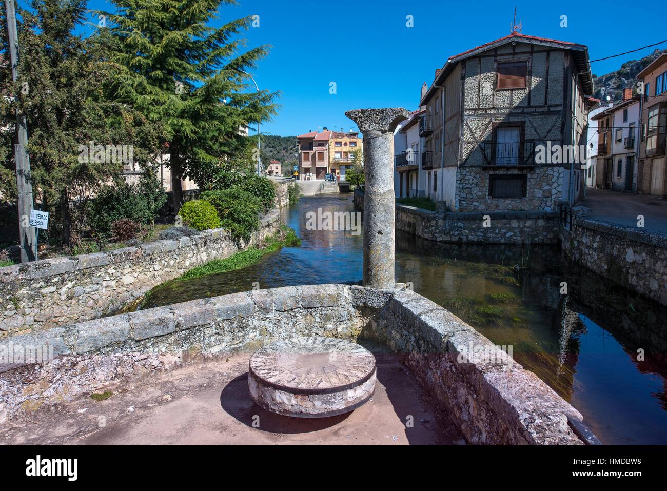 Rey de leon hi-res stock photography and images - Alamy