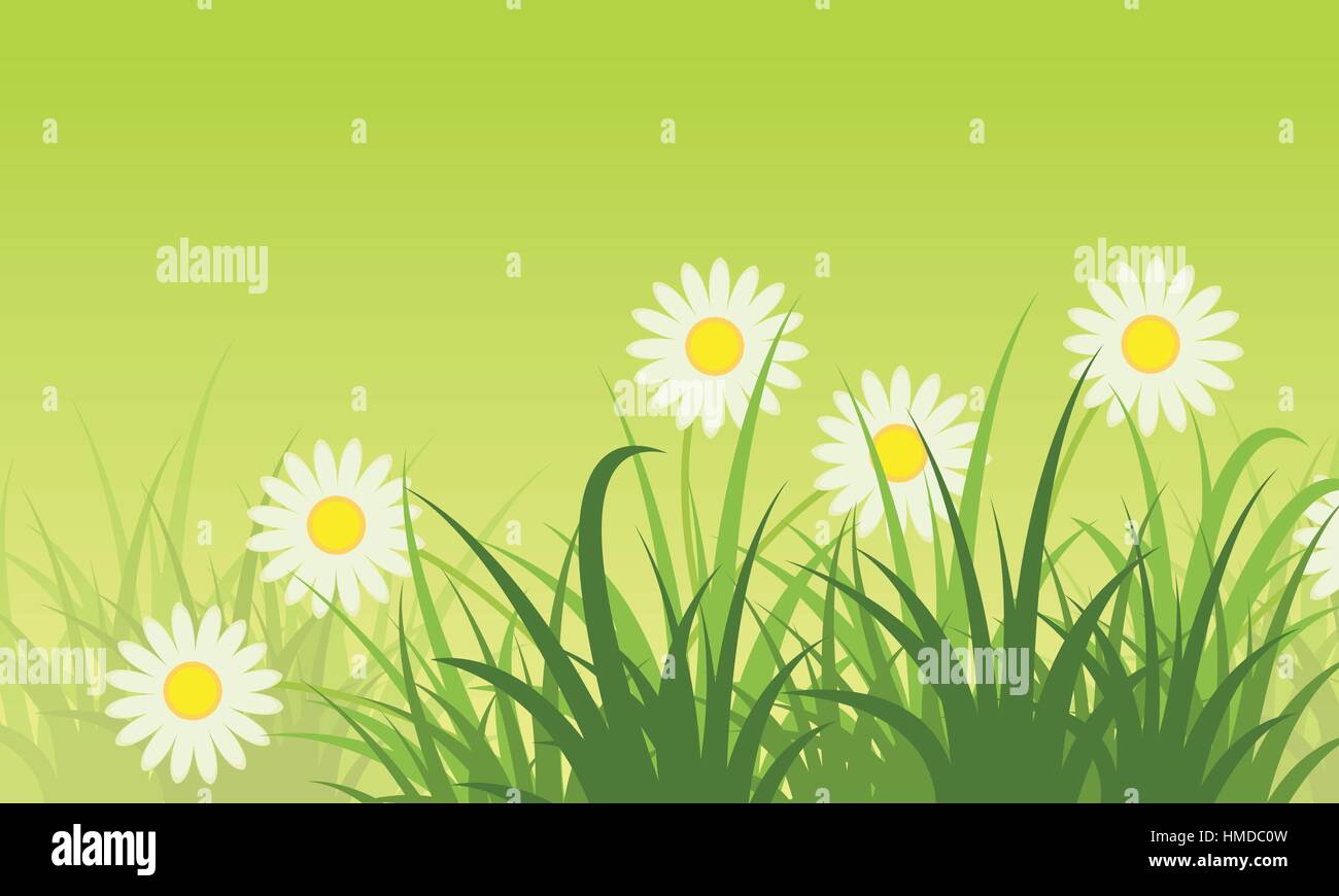 Flower background spring theme vector flat Stock Vector Image & Art - Alamy
