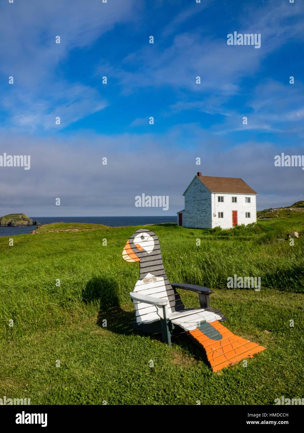 Puffin and elliston and newfoundland hi-res stock photography and ...