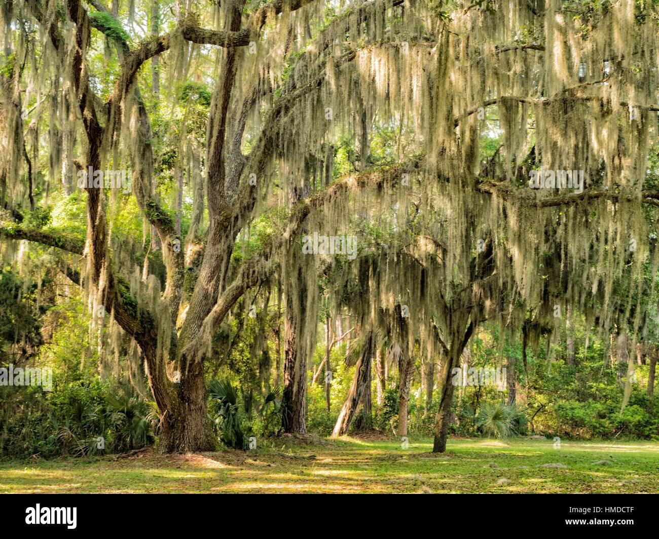 Jeykll Island Georgia Horton House Stock Photo - Alamy